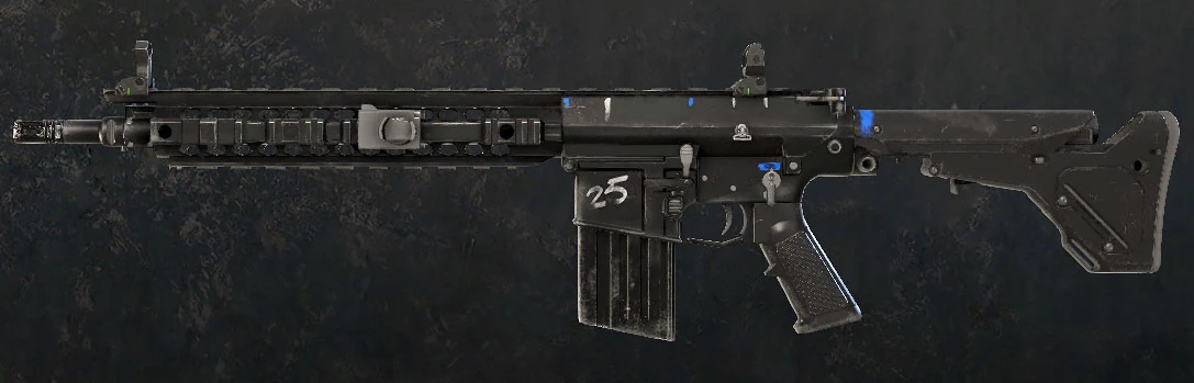 Image - R6S-sr25.jpg | Rainbow Six Wiki | FANDOM powered by Wikia
