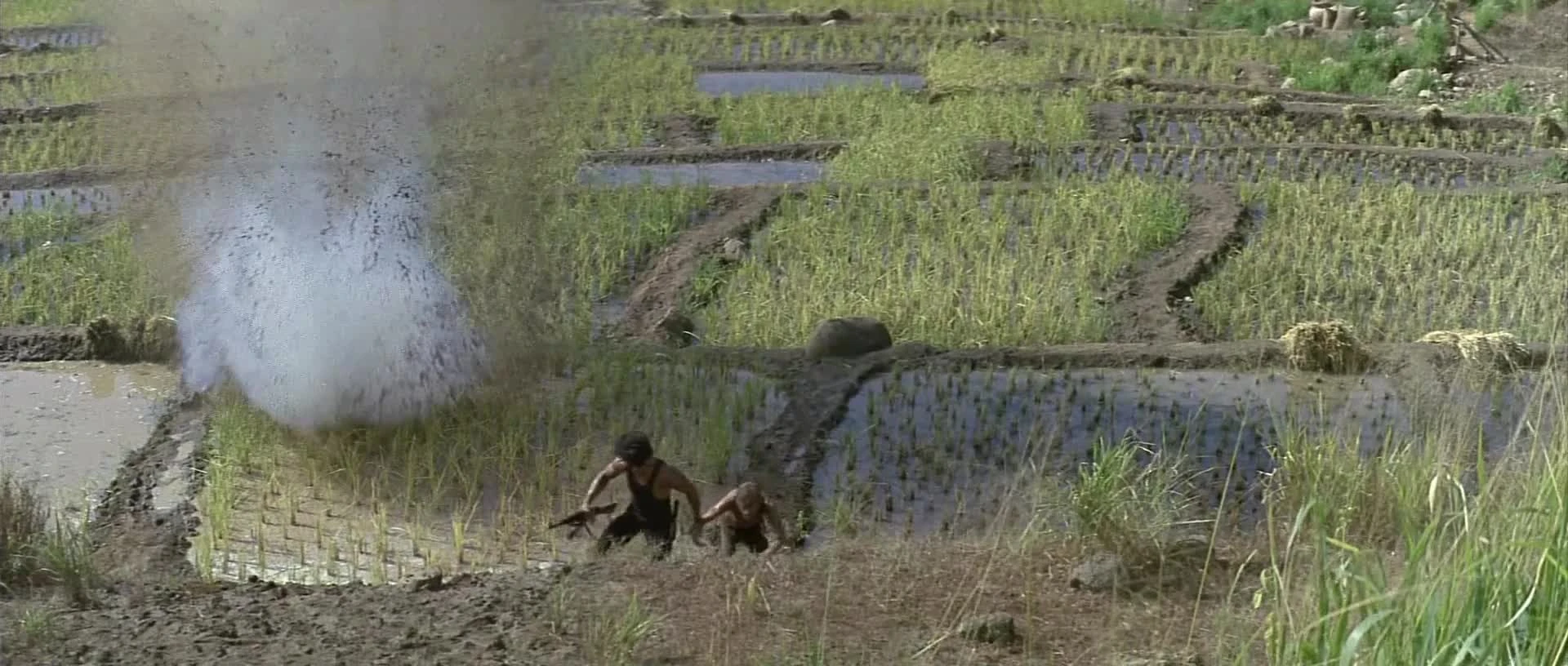 Rice Paddies | Rambo Wiki | Fandom