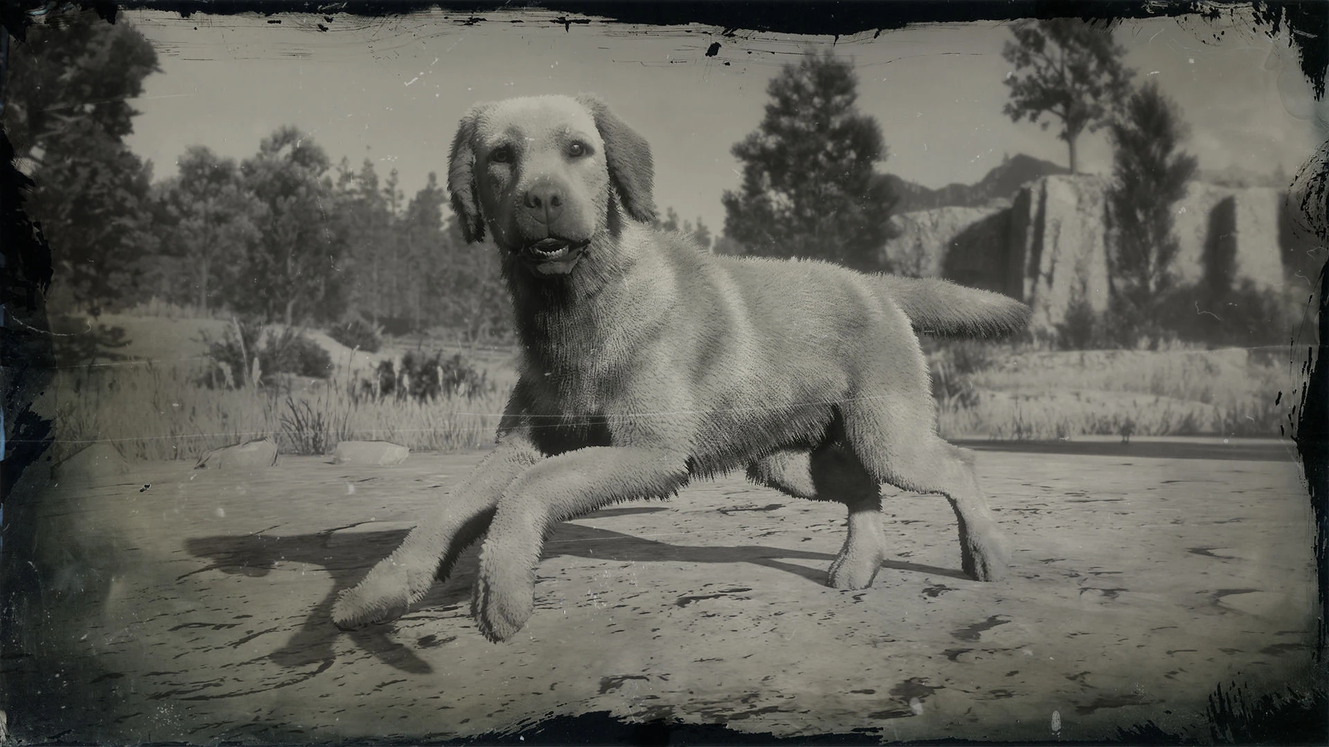 Rufus | Red Dead Wiki | Fandom