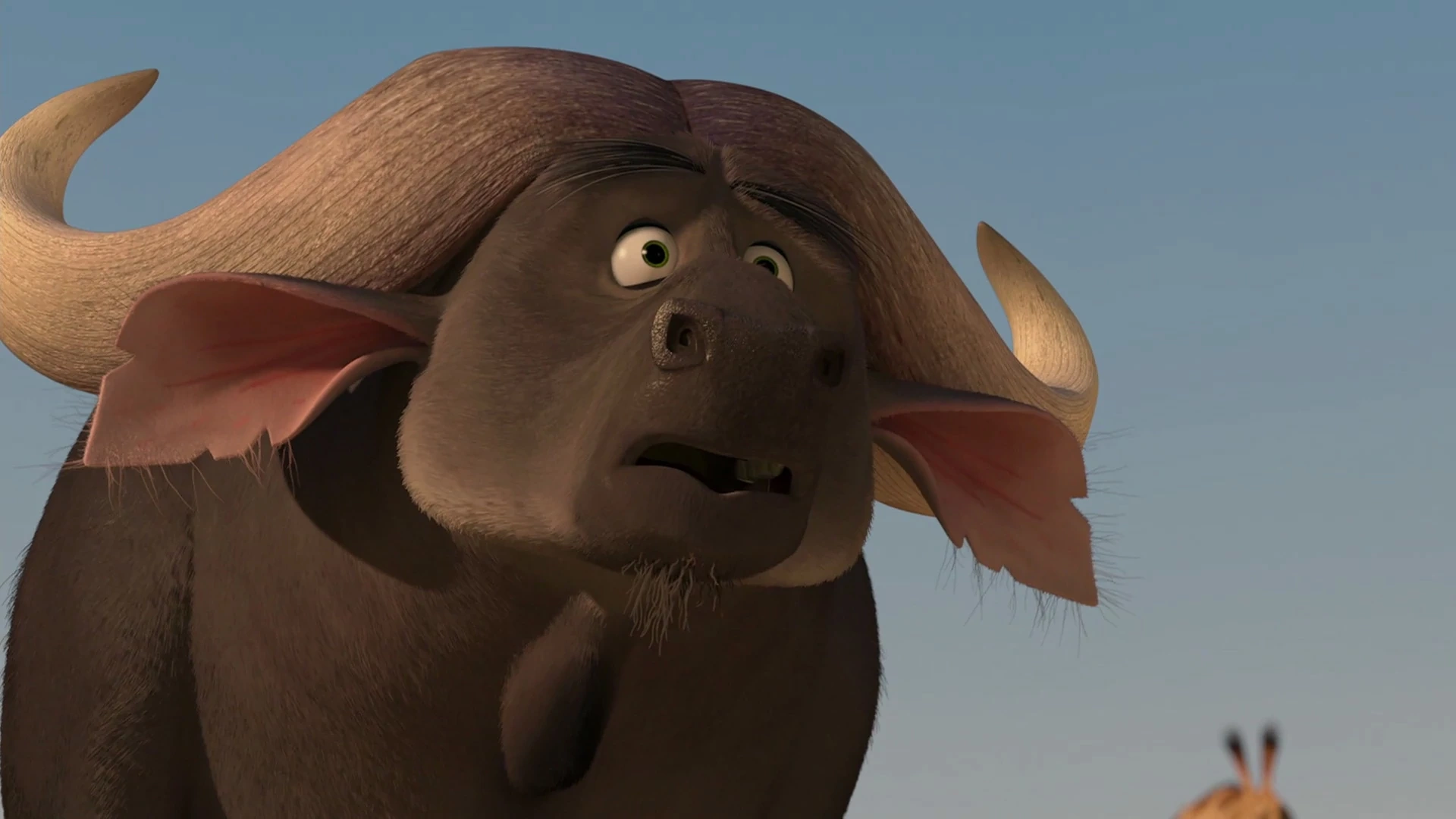 List of Species in Madagascar | Animals Wiki | Fandom