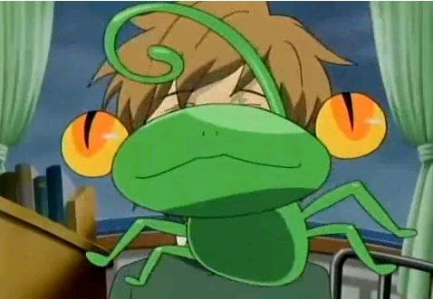 Leon | Reborn Wiki | Fandom