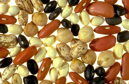 Legumes and Nuts | Recipes Wiki | Fandom