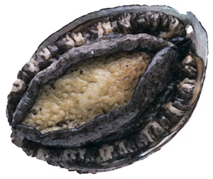 Awabi | Recipes Wiki | FANDOM powered by Wikia