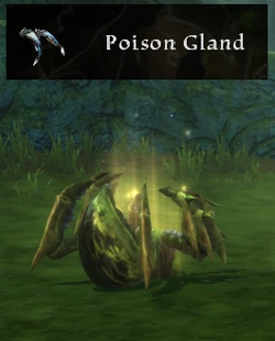 Hair of the Dog | Amalur Wiki | Fandom