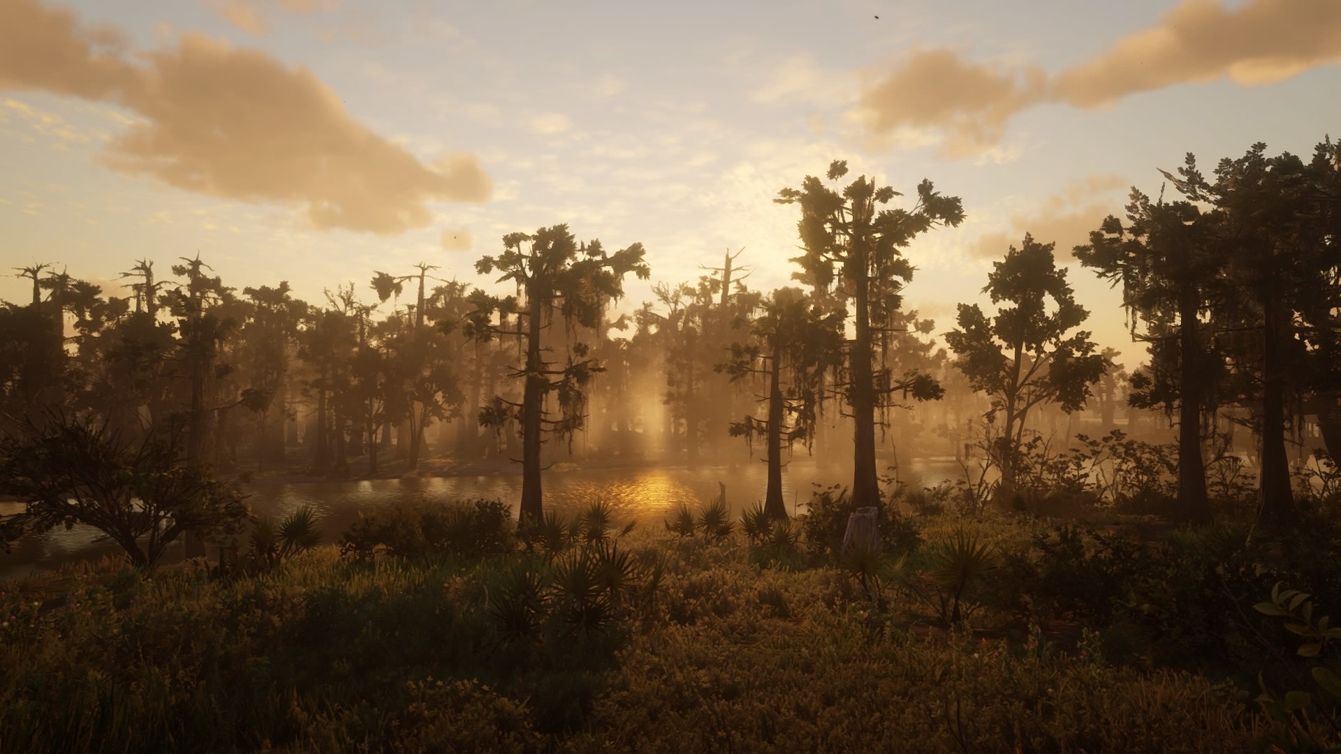 Bayou Nwa | Red Dead Redemption Wiki | Fandom