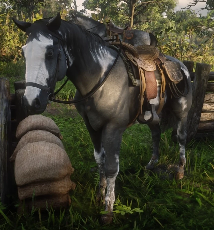 Boaz | Red Dead Redemption Wiki | Fandom