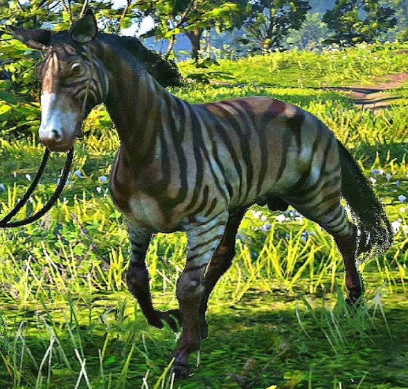 Zebra | Red Dead Redemption Wiki | Fandom