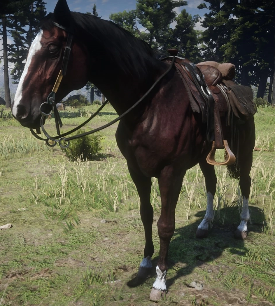 Rachel | Red Dead Redemption Wiki | Fandom