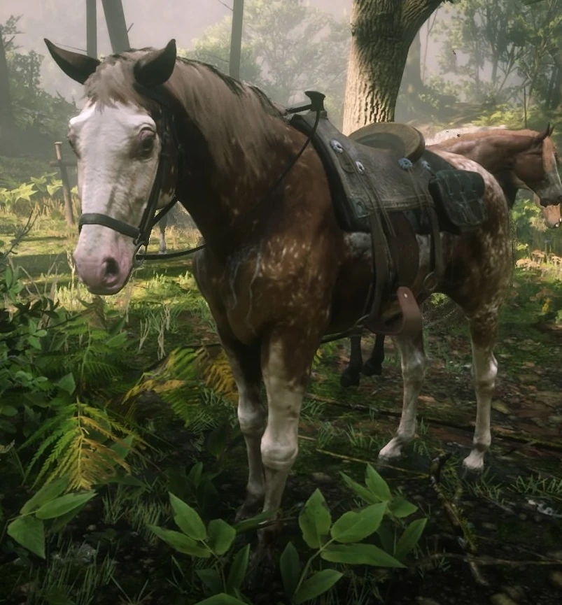 Nell II | Red Dead Redemption Wiki | Fandom