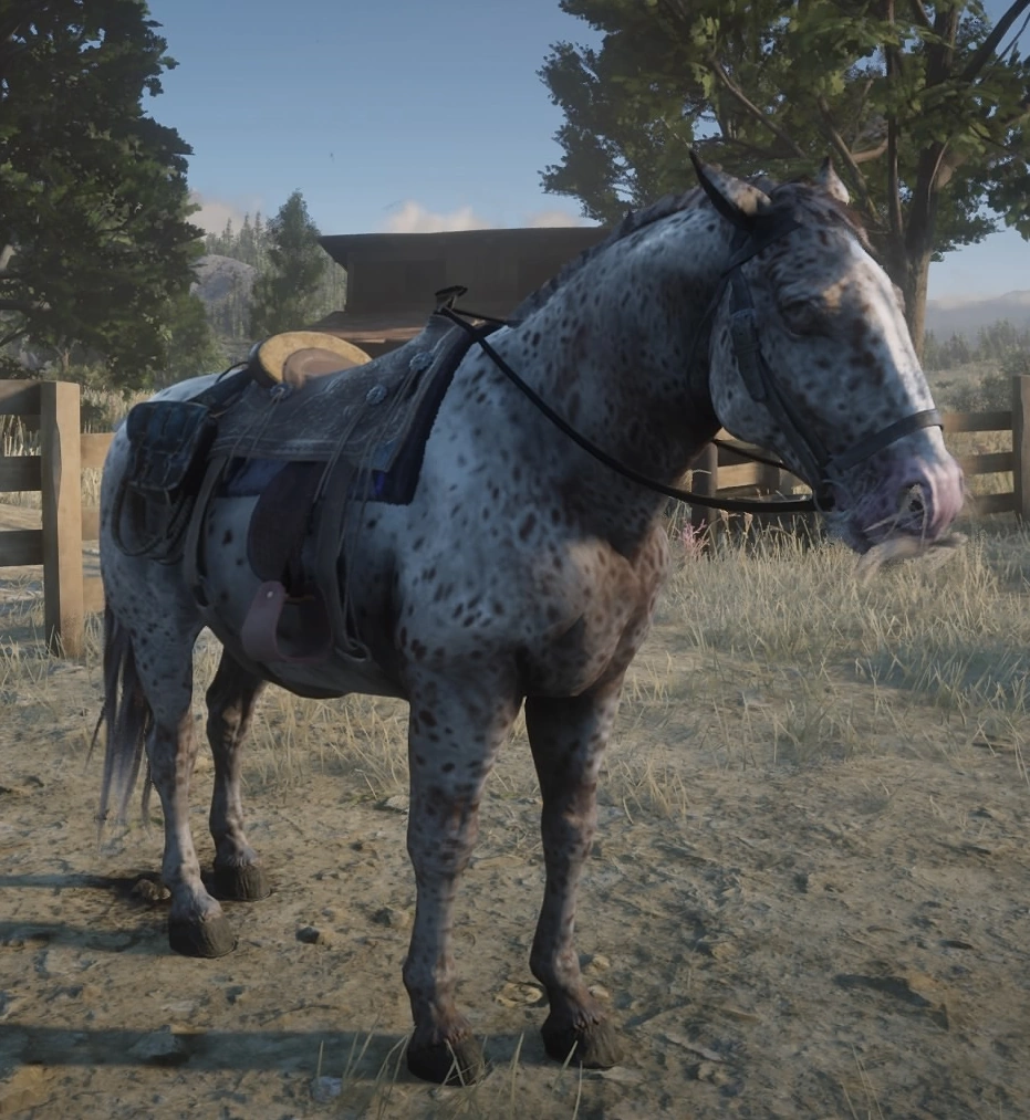 Nell IV | Red Dead Redemption Wiki | Fandom