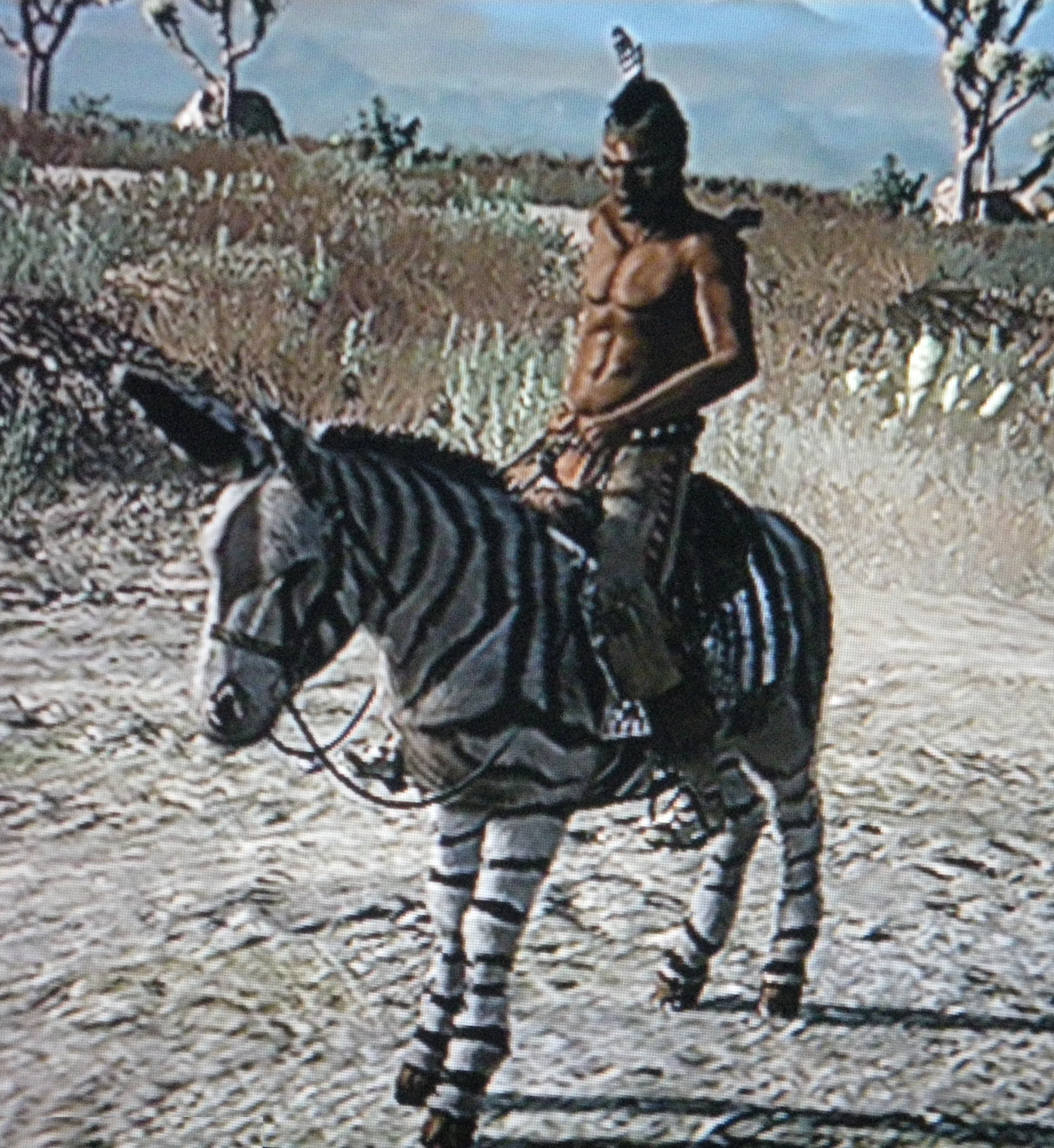 Bild - Zebra2.jpg | Red Dead Redemption Wiki | FANDOM powered by Wikia