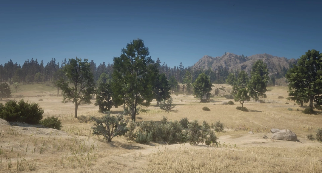 Beecher’s Hope | Red Dead Redemption Wiki | Fandom