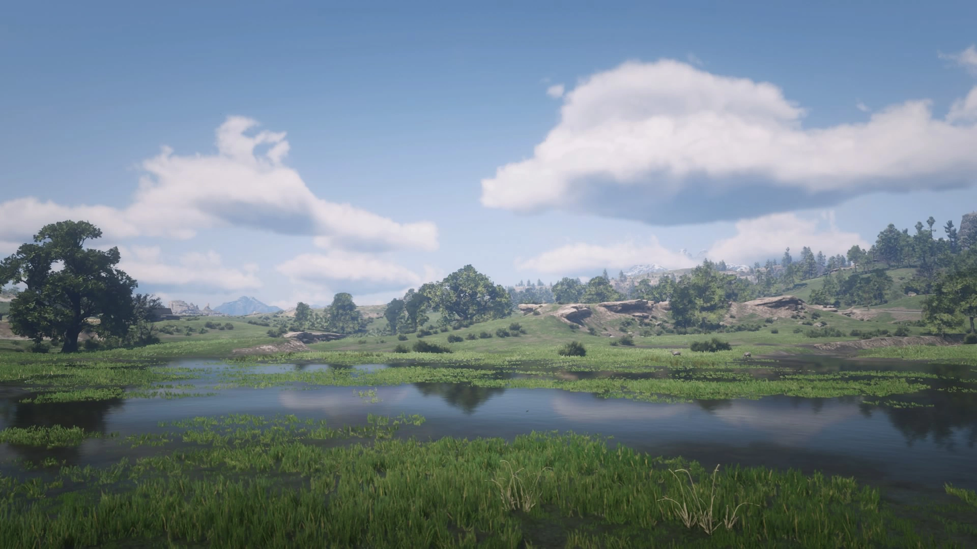 Heartland Overflow | Red Dead Wiki | Fandom