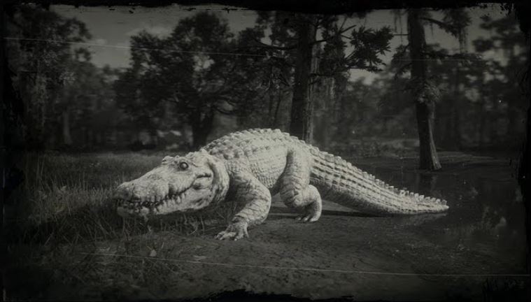 Legendary gator rdr2