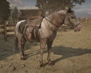 Suffolk Punch | Red Dead Wiki | Fandom