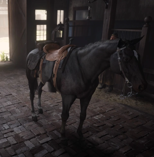 Rachel (horse) | Red Dead Wiki | FANDOM powered by Wikia