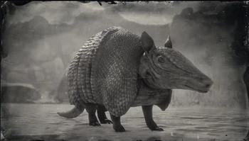 Armadillo (RDR 2) | Red Dead Wiki | FANDOM powered by Wikia