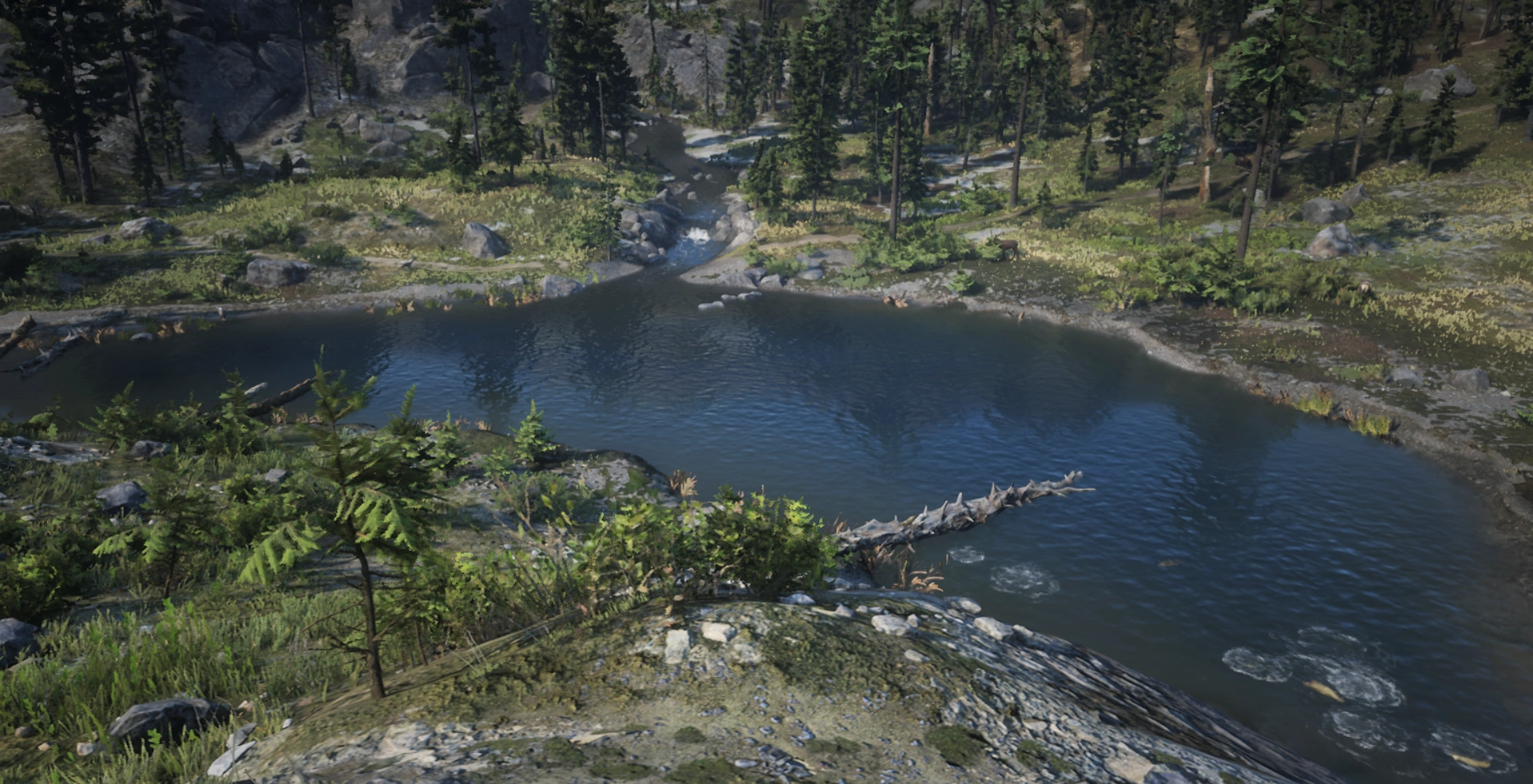 Cattail Pond | Red Dead Wiki | Fandom