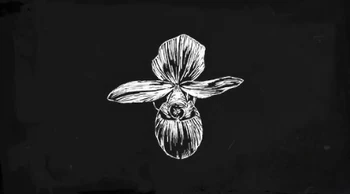 Queen's Orchid | Red Dead Wiki | Fandom