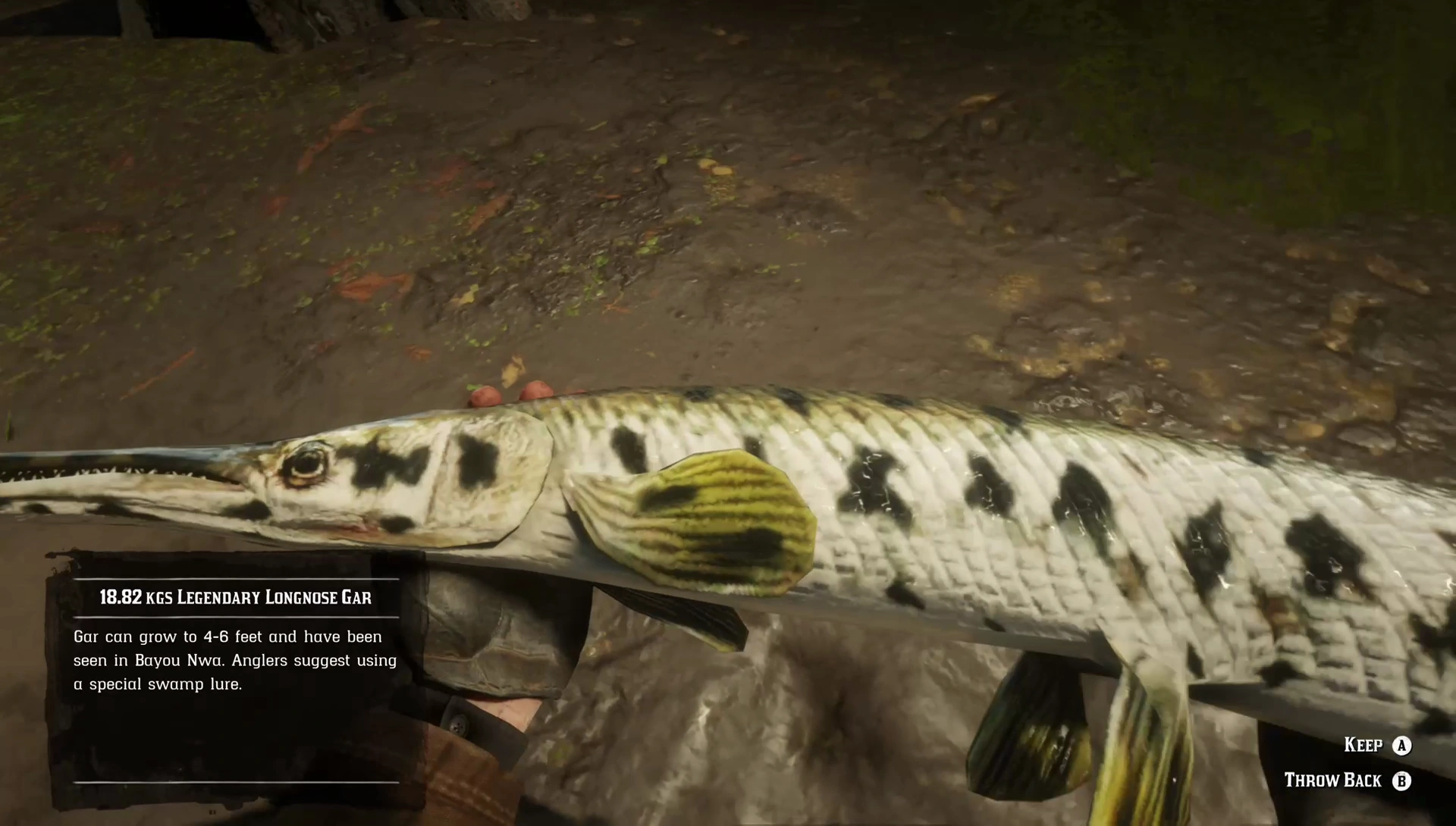 Image - RDR2 - Legendary Longnose Gar 02.png | Red Dead Wiki | FANDOM ...