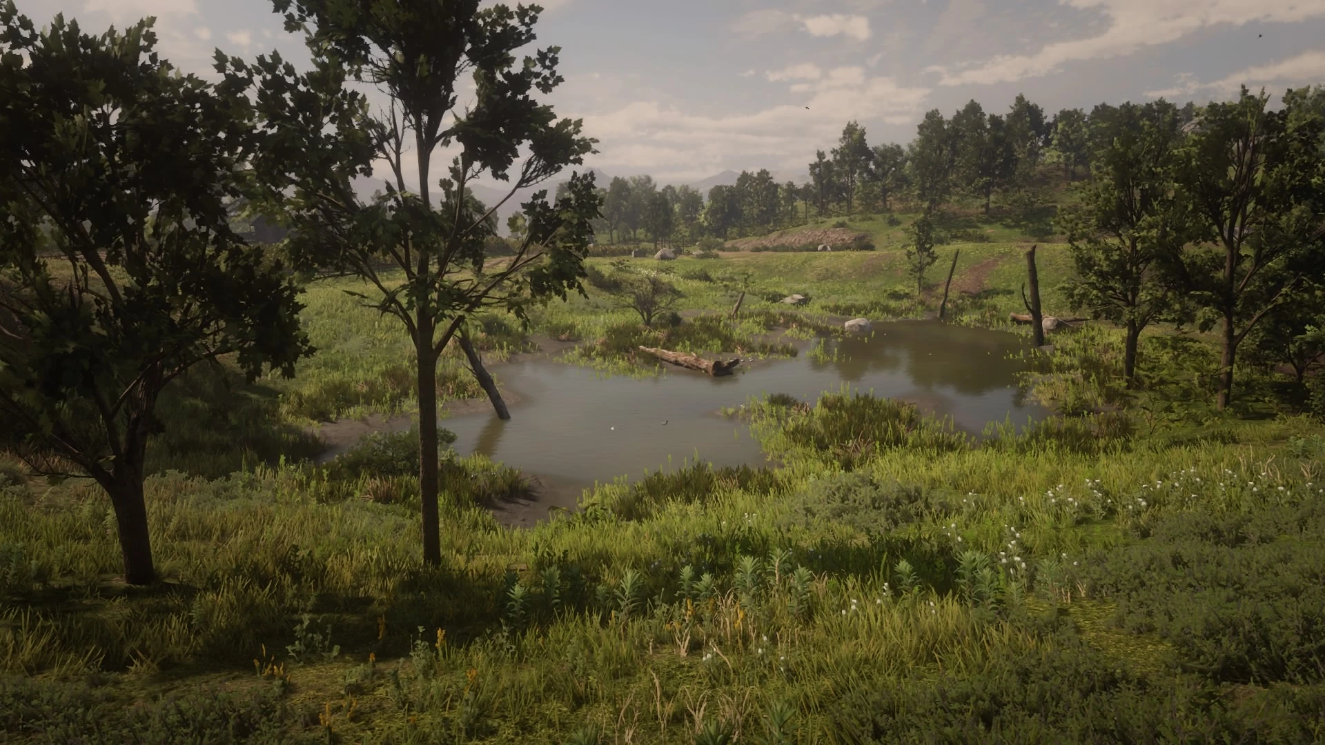 Mattock Pond | Red Dead Wiki | Fandom