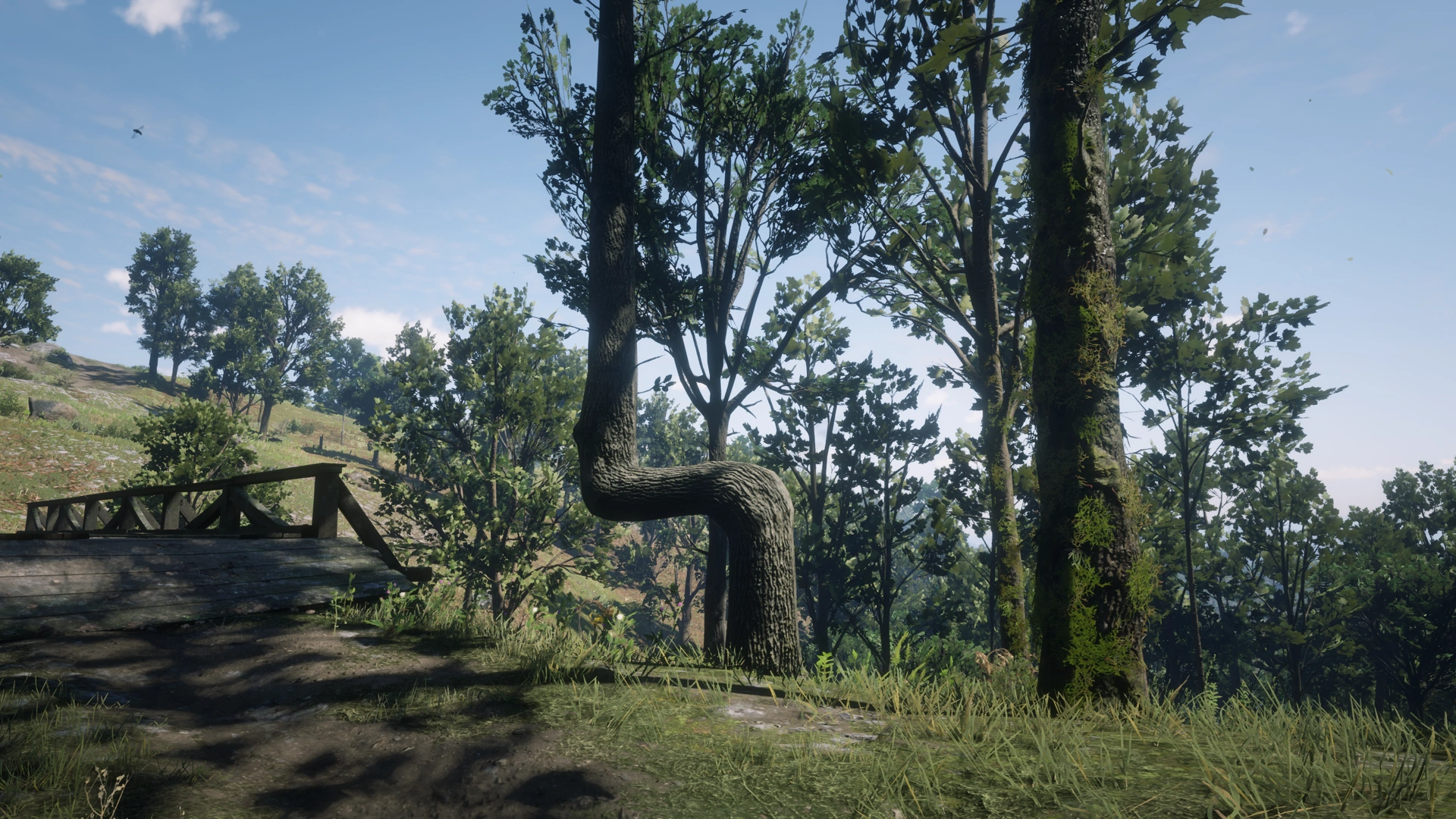 Trail Trees (I) | Red Dead Wiki | Fandom