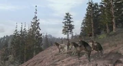 Tall Trees | Red Dead Wiki | FANDOM powered by Wikia