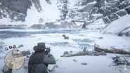 Grizzly (RDR 2) | Red Dead Wiki | Fandom