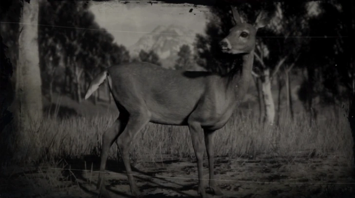 Deer (RDR 2) | Red Dead Wiki | Fandom