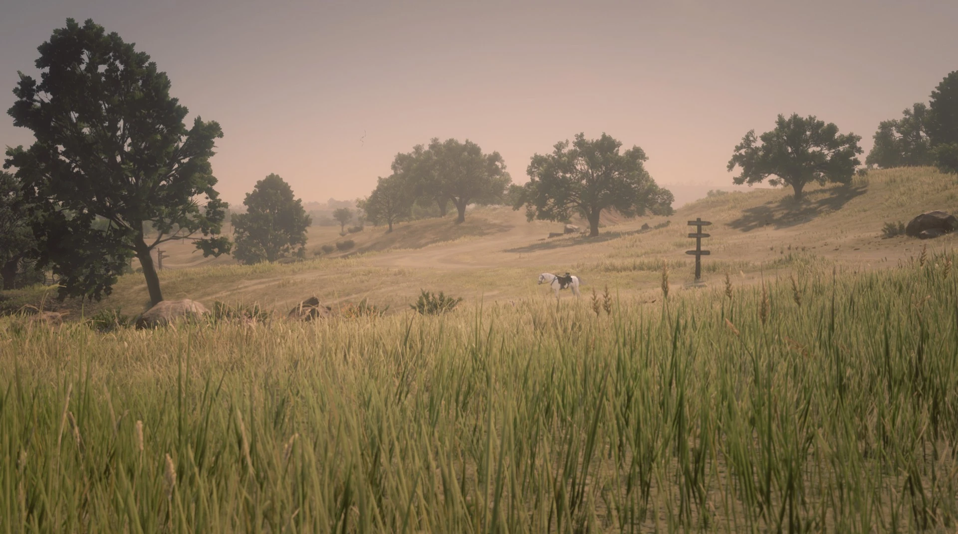 Hennigan's Stead | Red Dead Wiki | Fandom