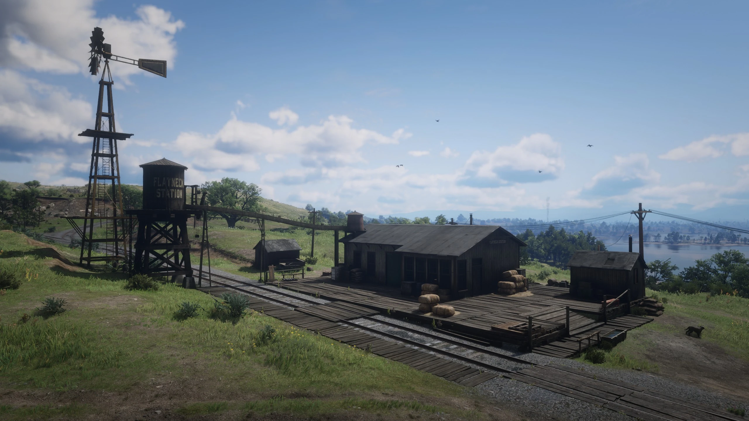 Flatneck Station | Red Dead Wiki | Fandom