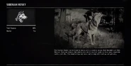 Dog (RDR2) | Red Dead Wiki | FANDOM powered by Wikia