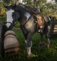 American Paint | Red Dead Wiki | Fandom