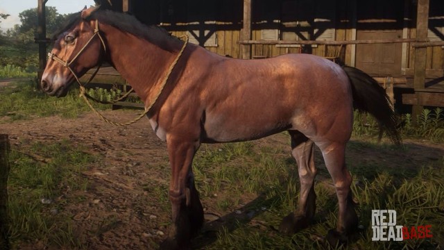 Mustang | Red Dead Wiki | Fandom