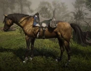 Turkoman | Red Dead Wiki | Fandom