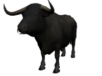 Bull | Red Dead Wiki | FANDOM powered by Wikia
