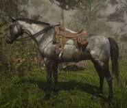 Turkoman | Red Dead Wiki | Fandom