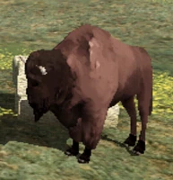 American Buffalo | Red Dead Wiki | Fandom