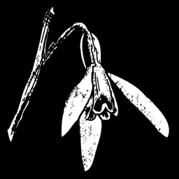 Violet Snowdrop | Red Dead Wiki | Fandom