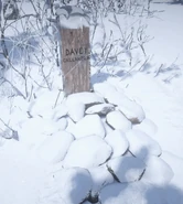 Davey Callander | Red Dead Wiki | Fandom