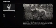 Wolf (RDR 2) | Red Dead Wiki | Fandom