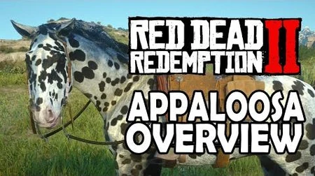 Appaloosa | Red Dead Wiki | Fandom
