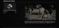 Dog (RDR2) | Red Dead Wiki | Fandom