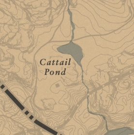 Cattail Pond | Red Dead Wiki | Fandom
