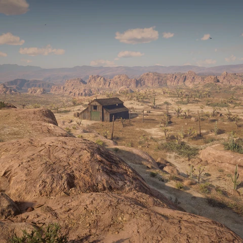 Tumbleweed | Red Dead Wiki | Fandom