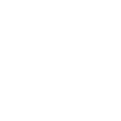 Fusil Carcano (RDR2) | Red Dead Wiki | Fandom