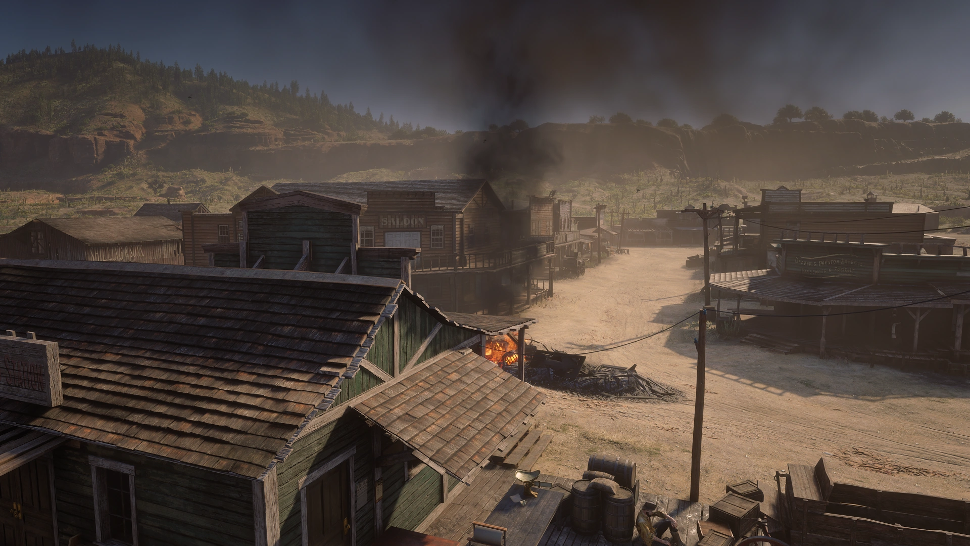 Armadillo | Red Dead Wiki | Fandom