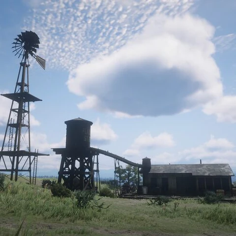 Flatneck Station | Red Dead Wiki | Fandom