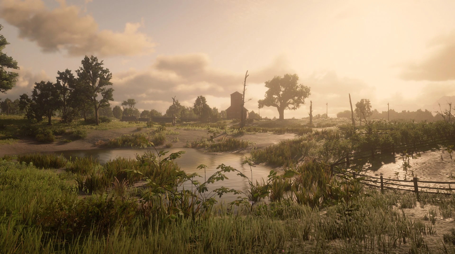 Scarlett Meadows | Red Dead Wiki | Fandom