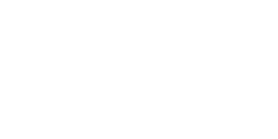 Carabine Litchfield | Red Dead Wiki | Fandom